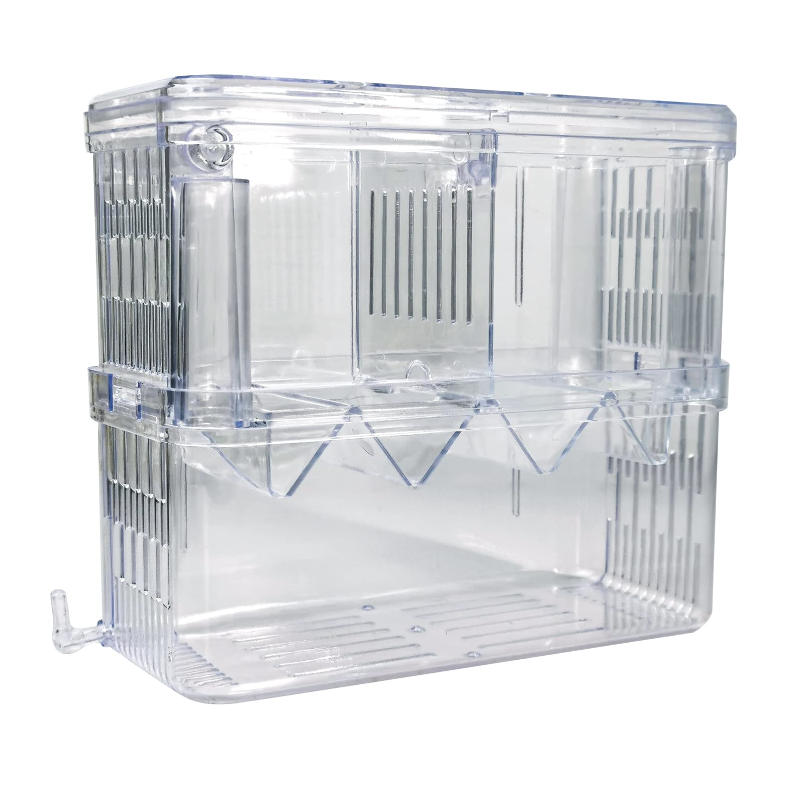 Amazon.com : Gittcoll Acrylic Fish Breeding Box Double Layer Aquarium ...