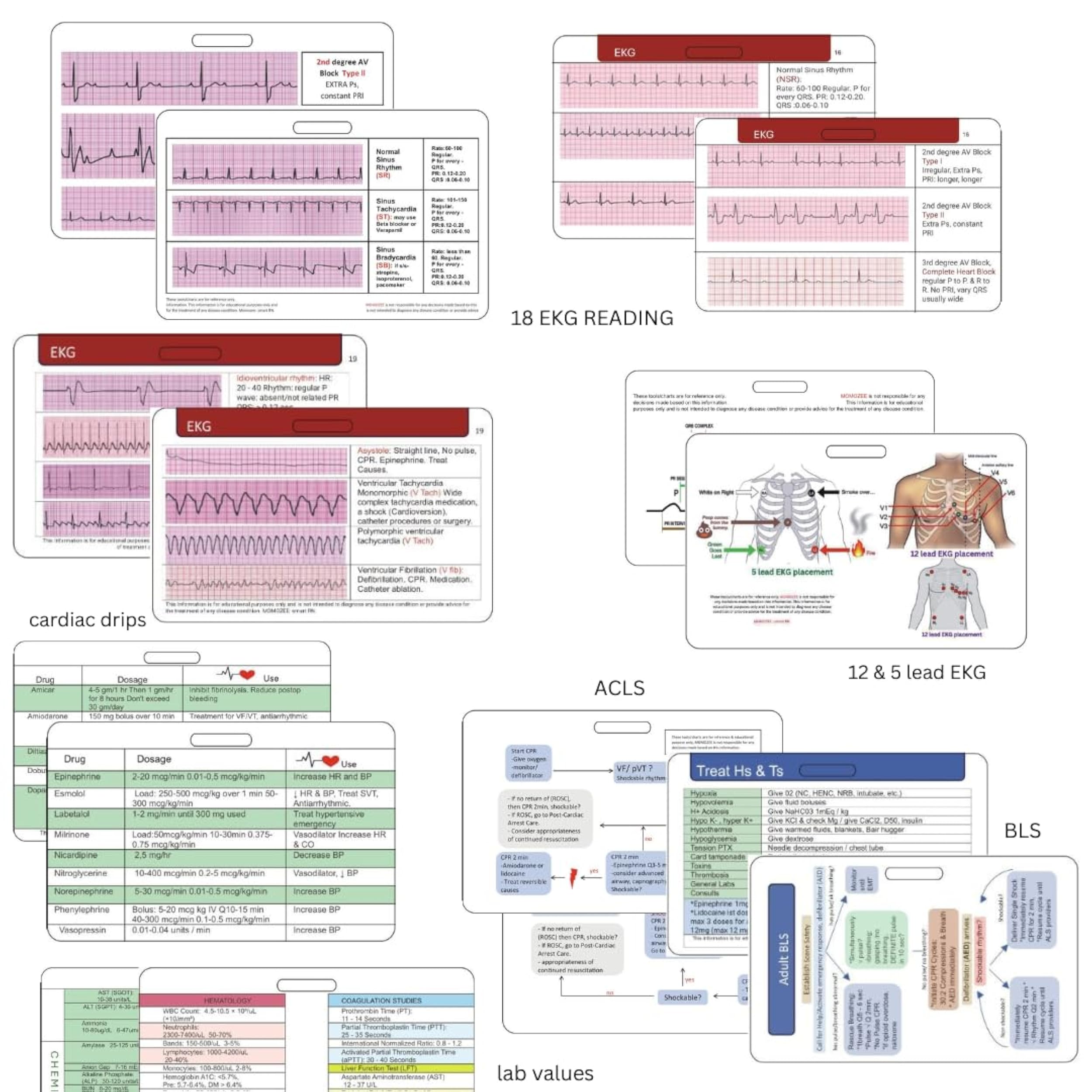 Snapklik.com : 8 Cardiac Badge Reference Card, ACLS, Lab, EKG Rythm