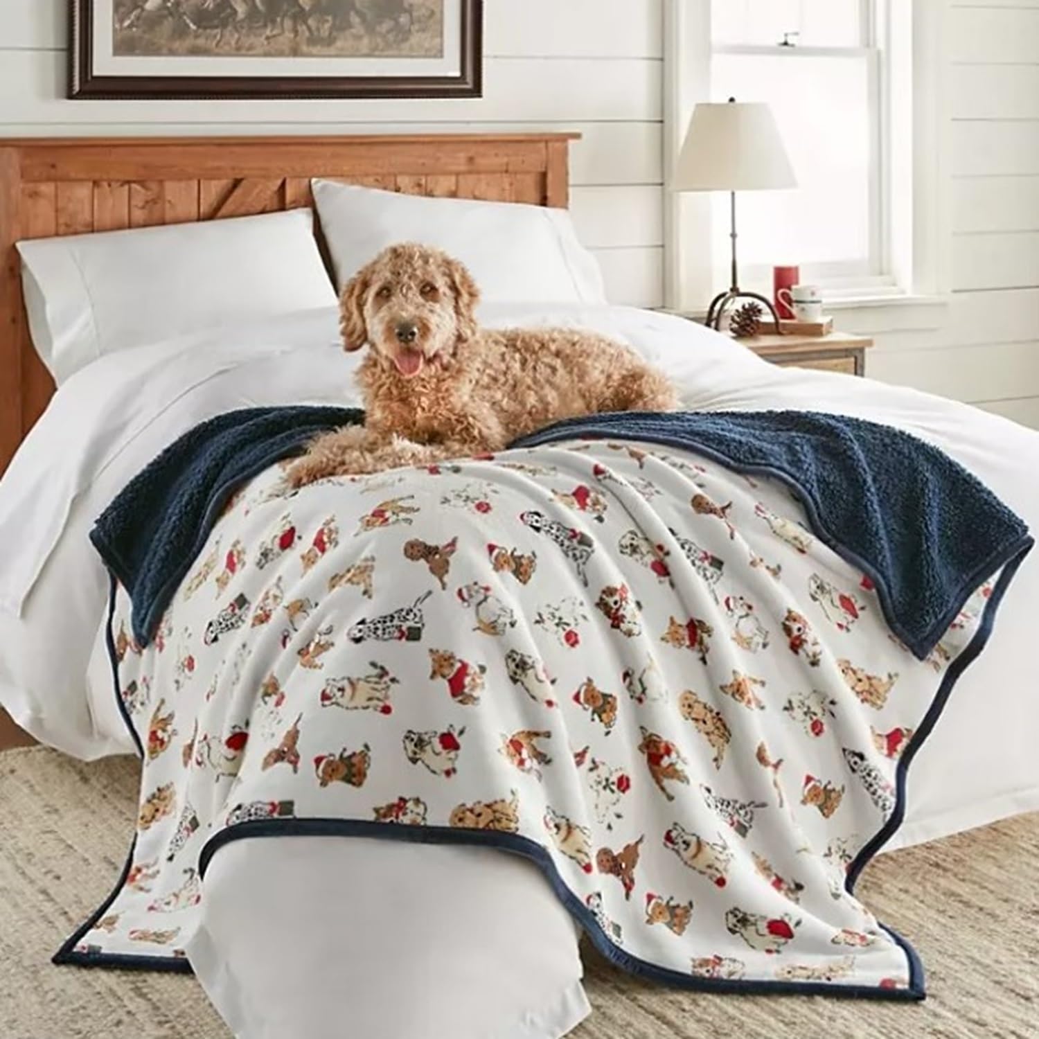 Member's Mark Plush Sherpa Holiday Throw, 60" x 70" (Watercolor Dogs)