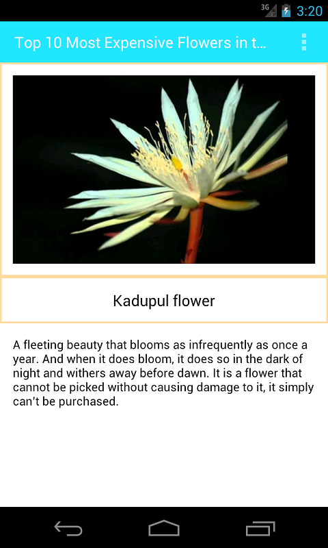 Most Expensive Flowers In The World