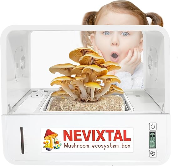 Amazon.com : Smart Mushroom Growing Tent,Grow Mushrooms at Home Kit ...