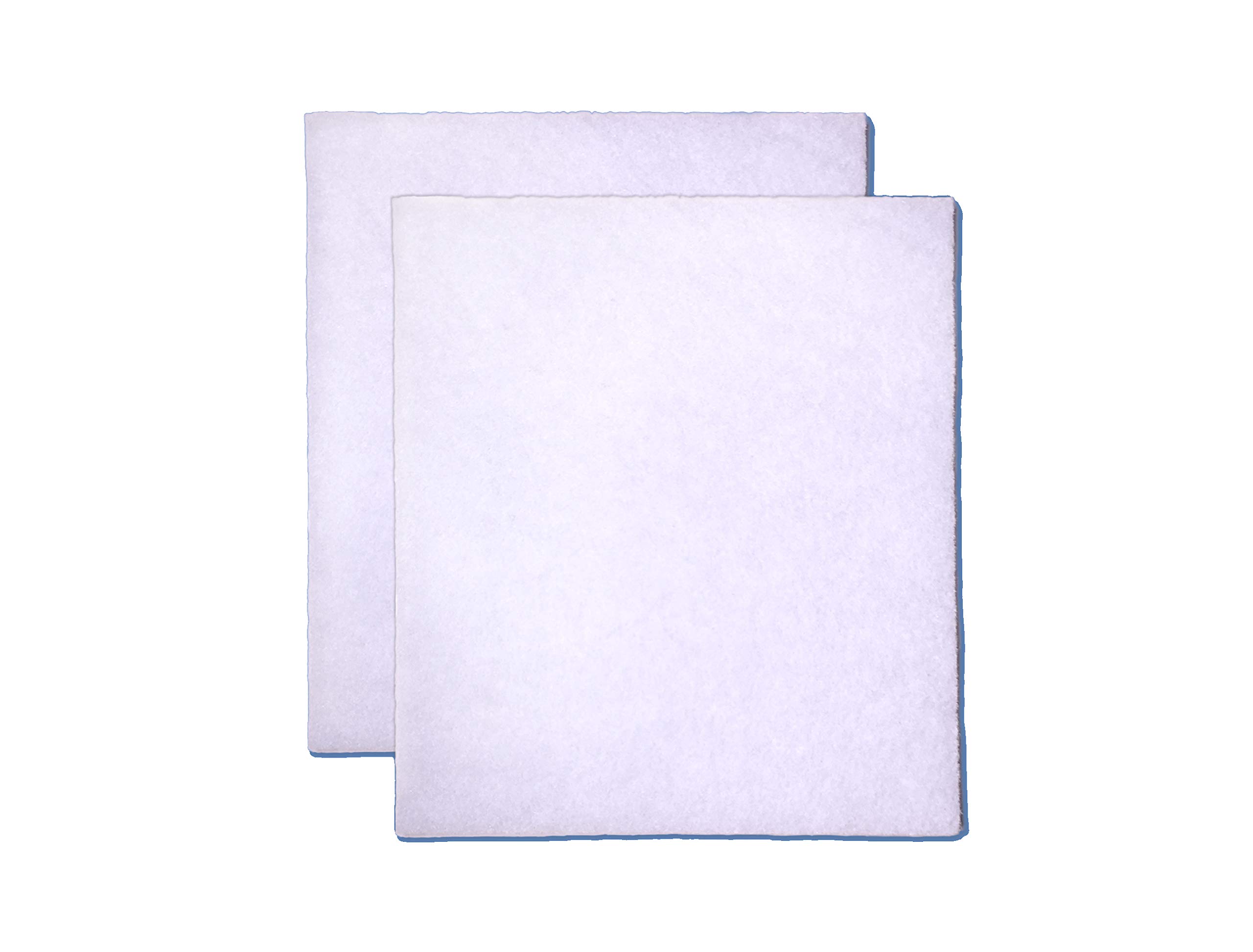 Amazon.com: OdorFree Washable Filters for Ozone Generators- Large (2 ...