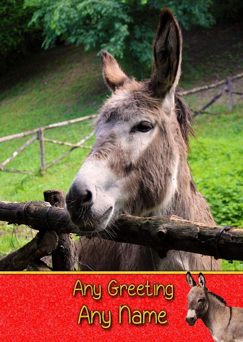 Personalised Donkey Greeting Card (Birthday, Christmas, Any Occasion ...