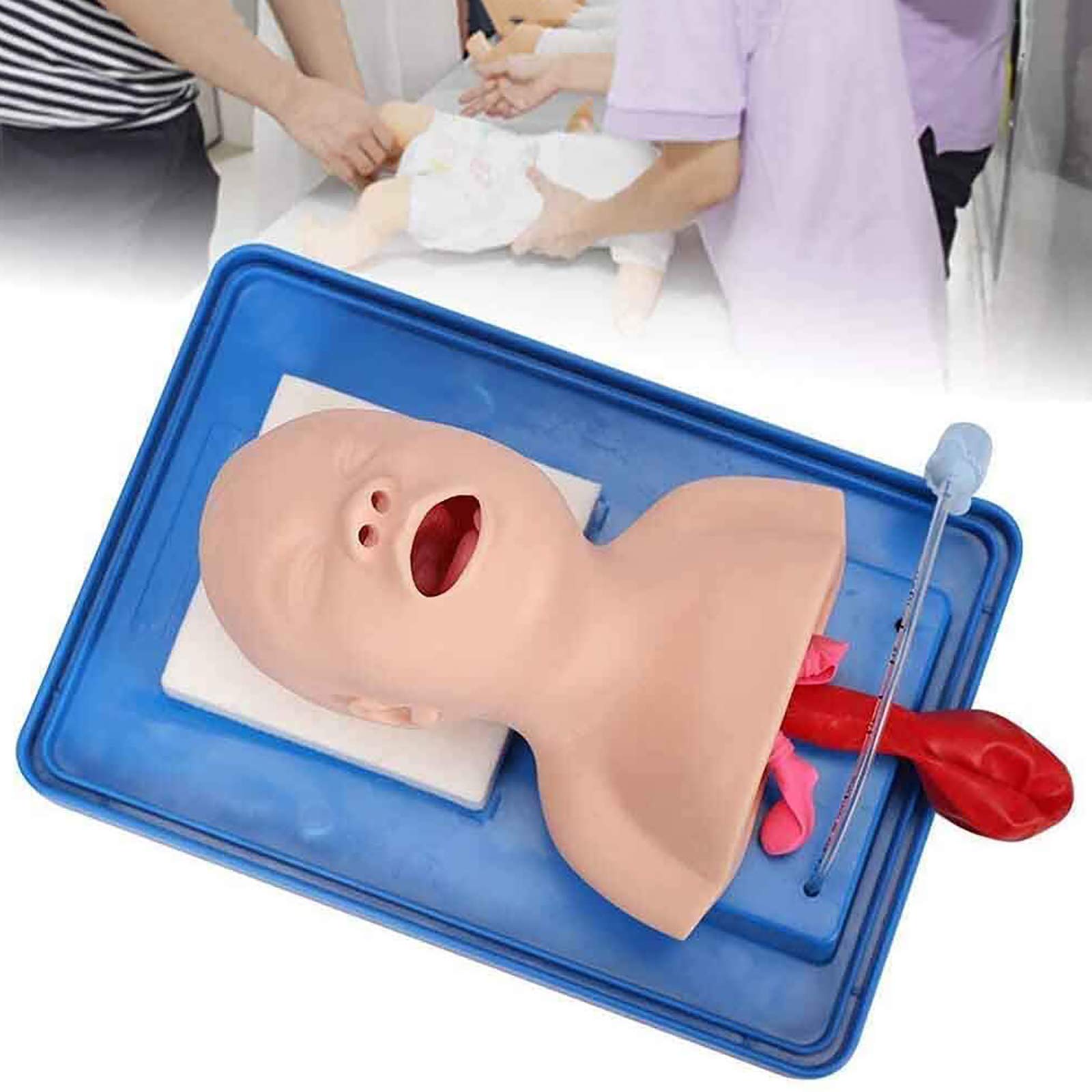 Buy WLKQ Intubation Manikin - Baby Intubation Manikin Study Teaching ...