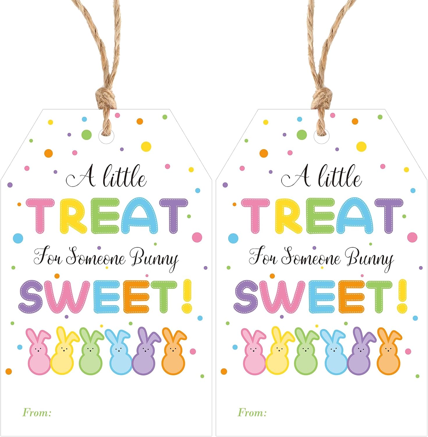Amazon.com: Easter Gift Tags with String, Easter Bunny Name Gift Tags ...