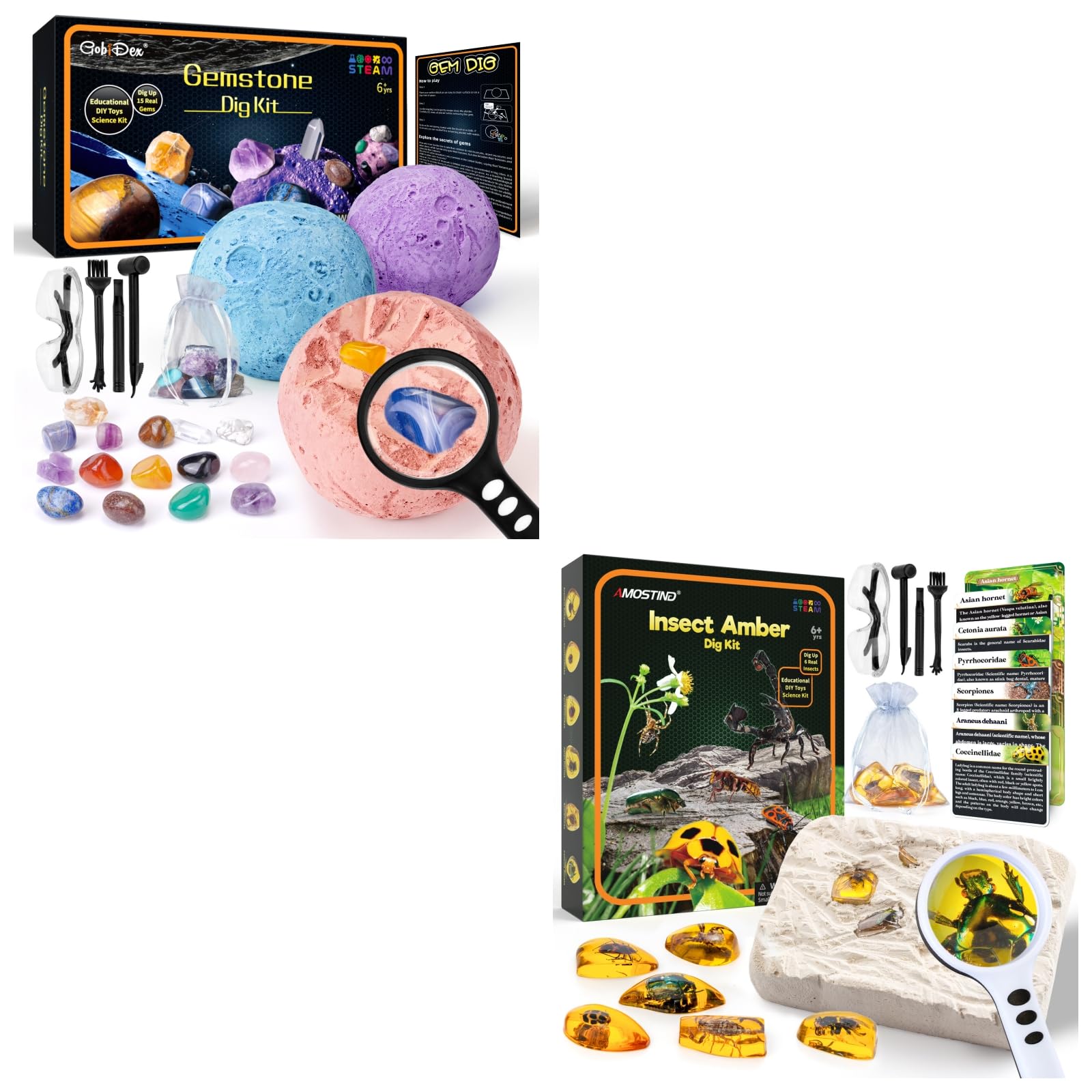 Amazon.com: GobiDex Amber Dig Kit & Solar System Science Kit for Kids ...