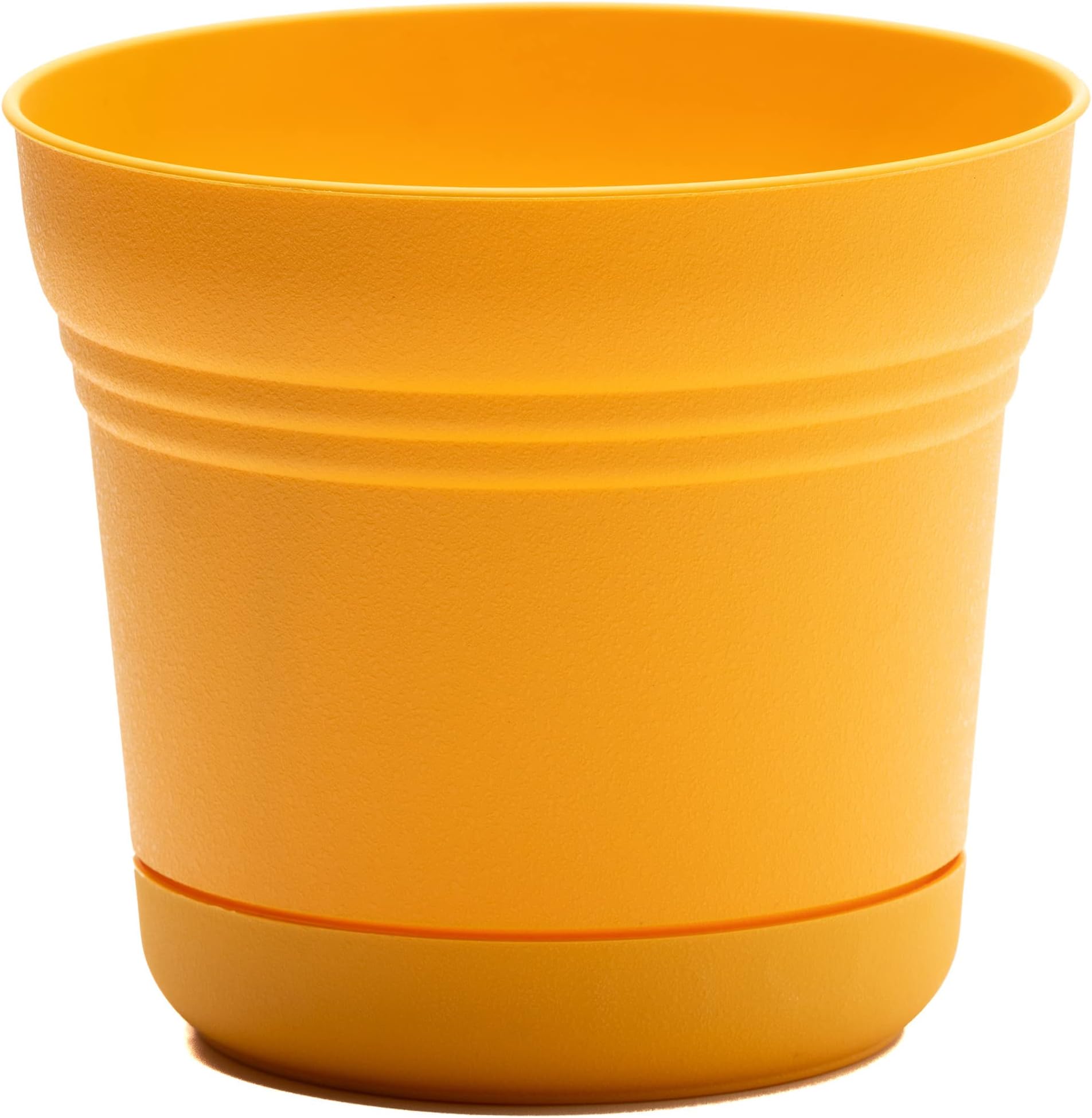 Amazon.com : Lucky Winner Fresh Lemon Planter Pot - Cement Summer ...