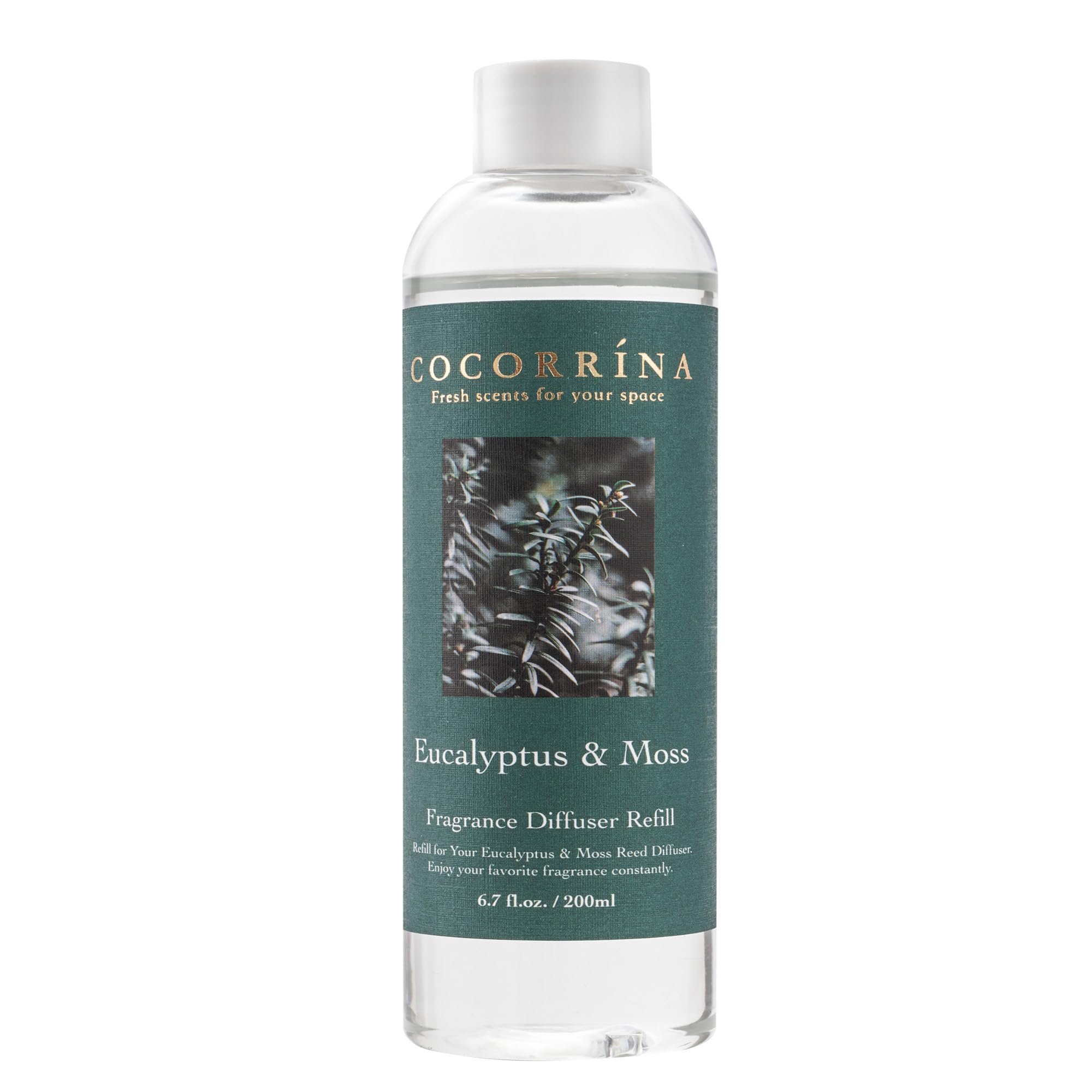 Amazon.com: Cocorrína Reed Diffuser Refill - Eucalyptus & Moss 6.7 Oz ...