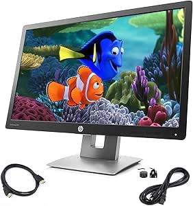 Amazon.com: HP EliteDisplay E232 Full HD 23 Inch LED Monitor, 1080p at ...