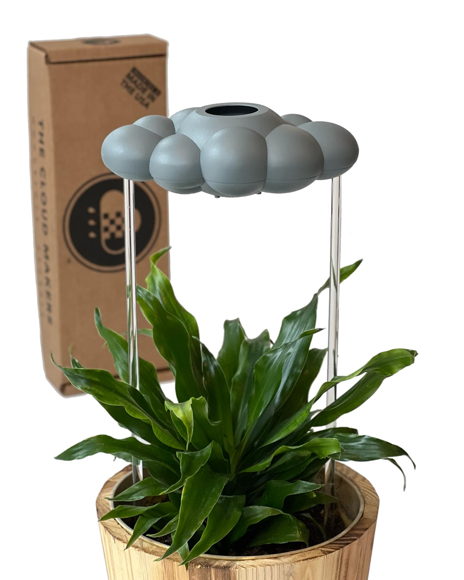 Amazon.com: The Stormy Dripping Rain Cloud for Plants, Plant Lover Gift ...