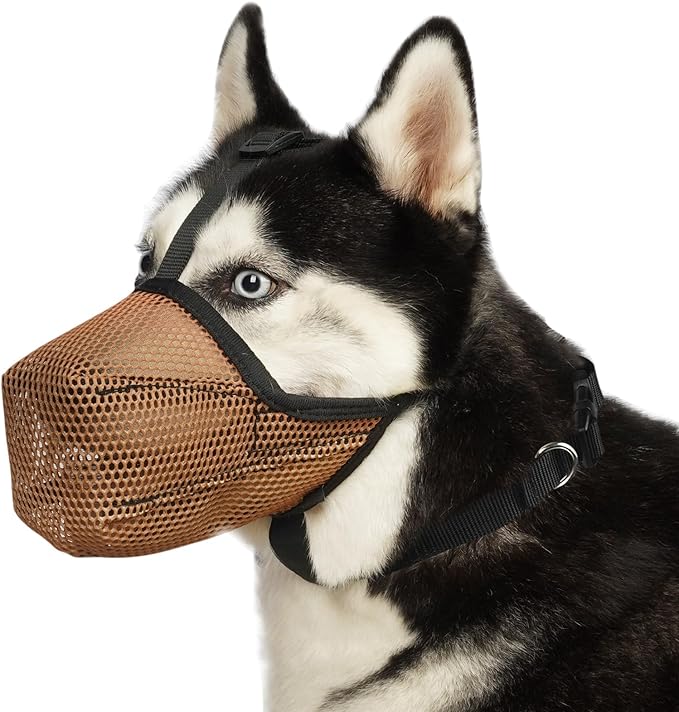 Amazon.com : Mayerzon Dog Muzzle with Matching Collar for Scavenging ...