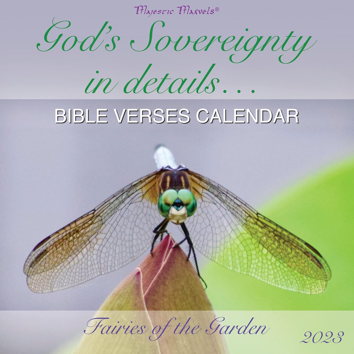 Amazon.com: 2023 Dragonfly Wall Calendar - God's Sovereignty in details ...