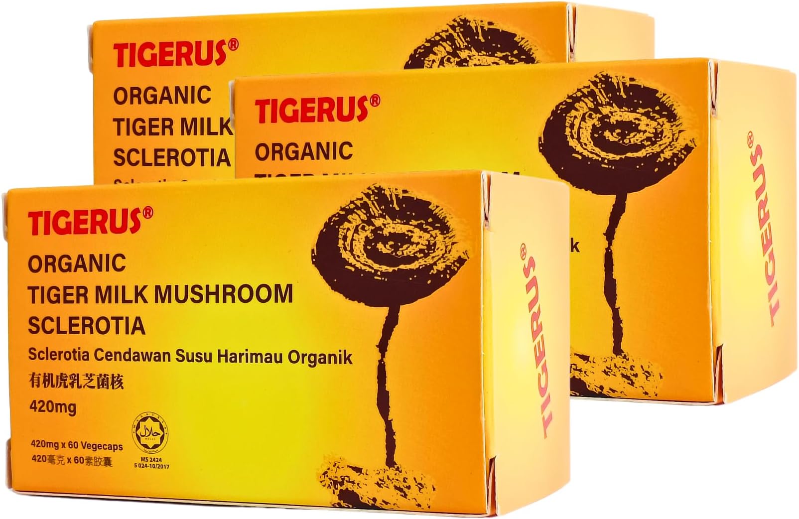 Amazon.com: TIGERUS Tiger Milk Mushroom (LiGNO TM02® Lignosus ...