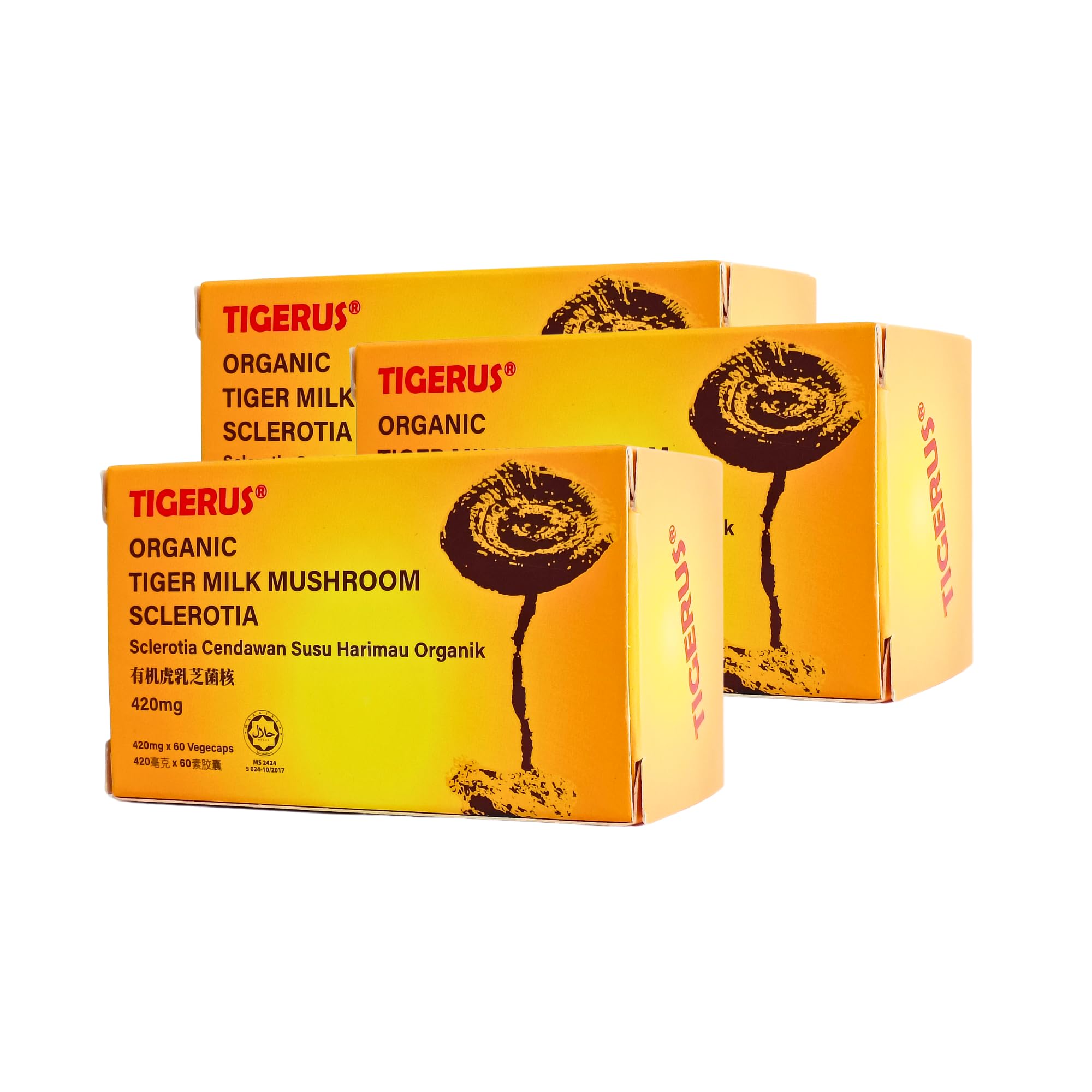 Amazon.com: TIGERUS Tiger Milk Mushroom (LiGNO TM02® Lignosus ...