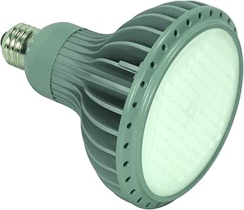 KolourOne LED PAR30 Lamp in Gray Beam Angle: 40°, Color Temperature ...