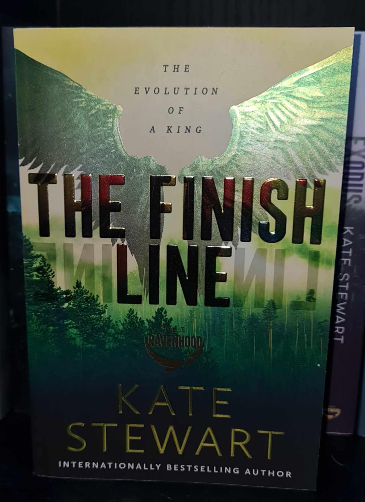 The Finish Line: Ravenhood Book 3: The hottest and most addictive ...