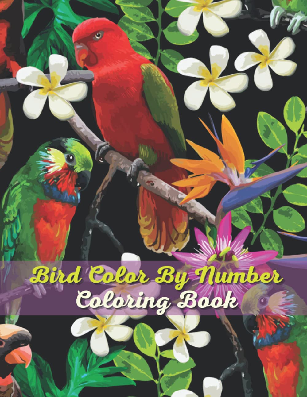 Bird Color By Number Coloring Book Bird Color By Number | Desertcart INDIA