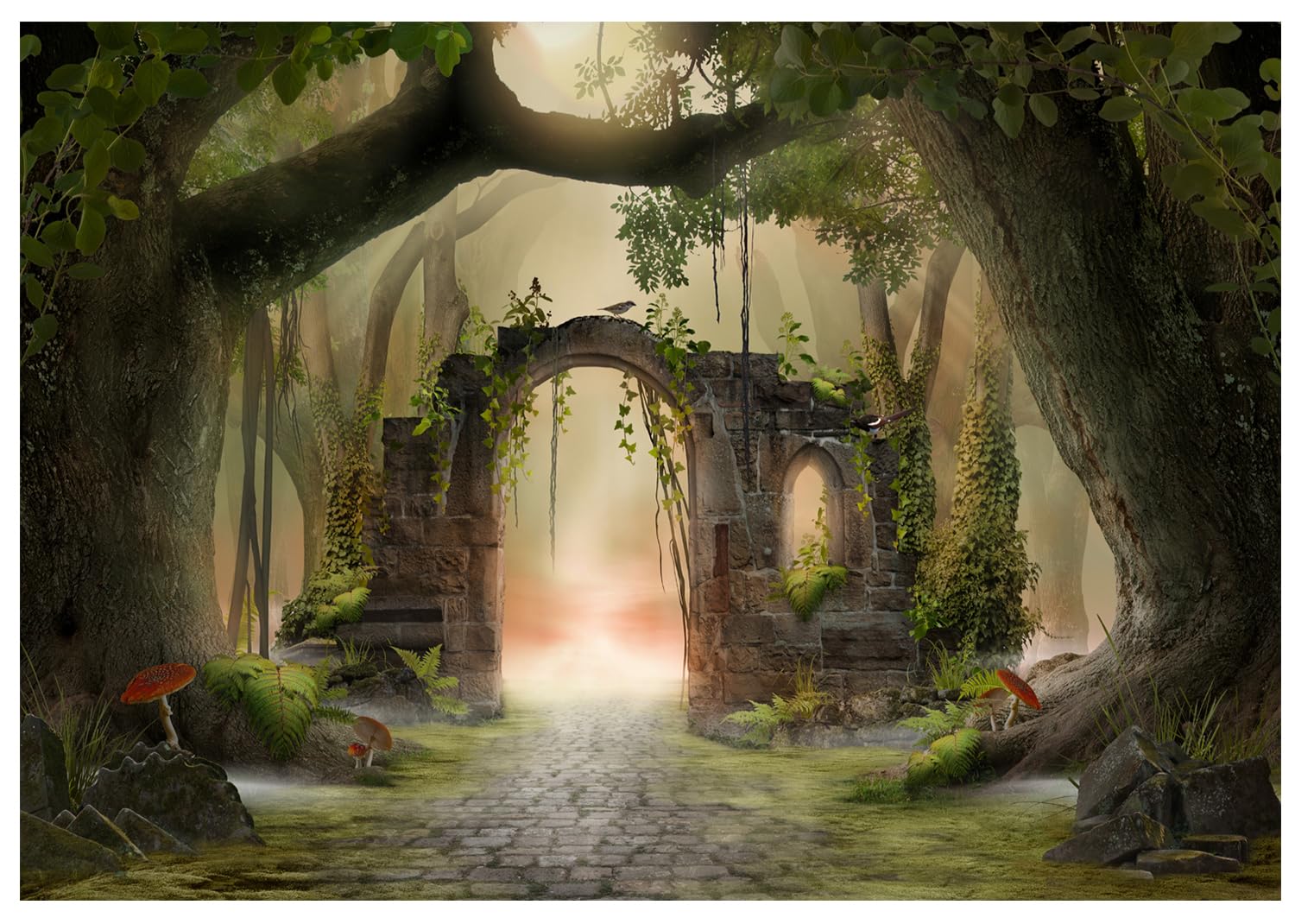 Whimsical Forest Background 24 Enchanted Forest Digital Wallpapers