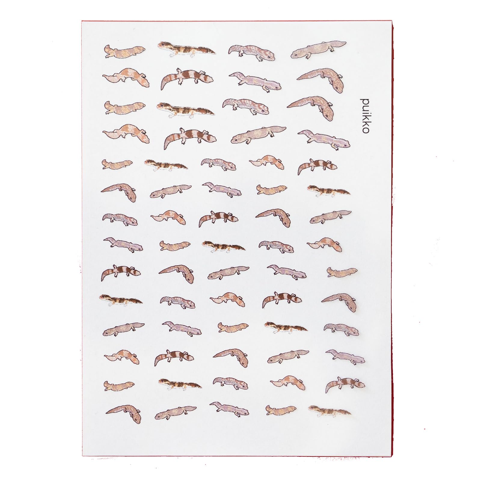 Amazon | puikko レジン封入用フィルム ニシアフリカトカゲモドキ | デコ素材 通販