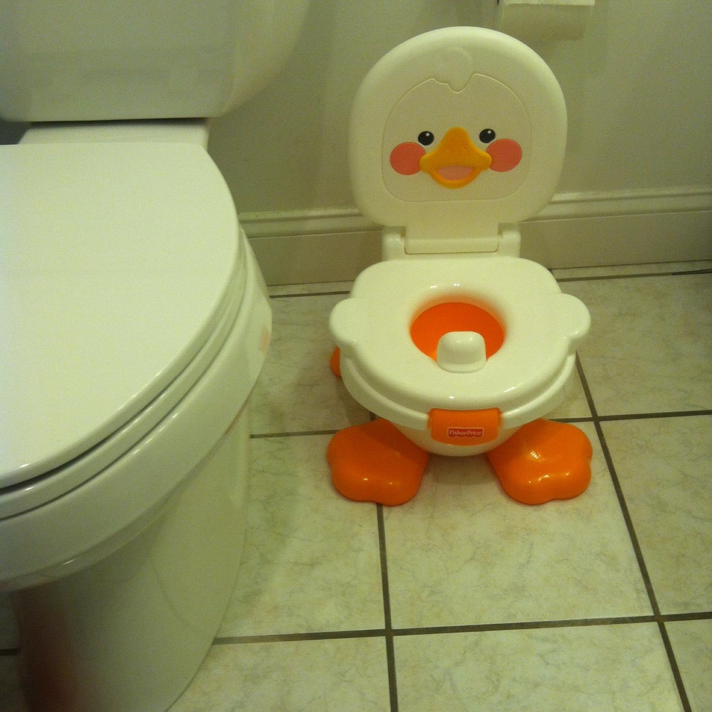 Amazon.com: Fisher-Price Ducky Fun 3-in-1 Potty : Baby