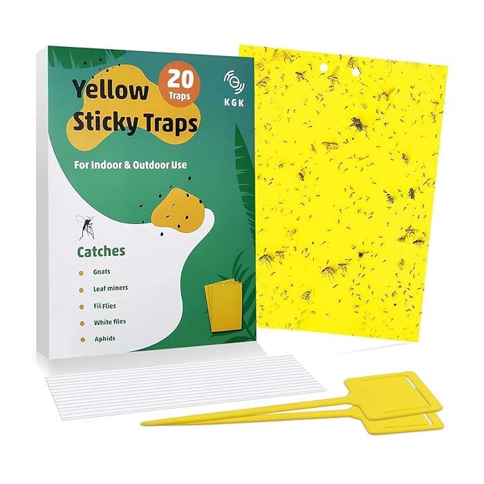 Buy KGK Sticky Traps - 20 Pack, Dual-Sided Yellow Sticky Traps for ...