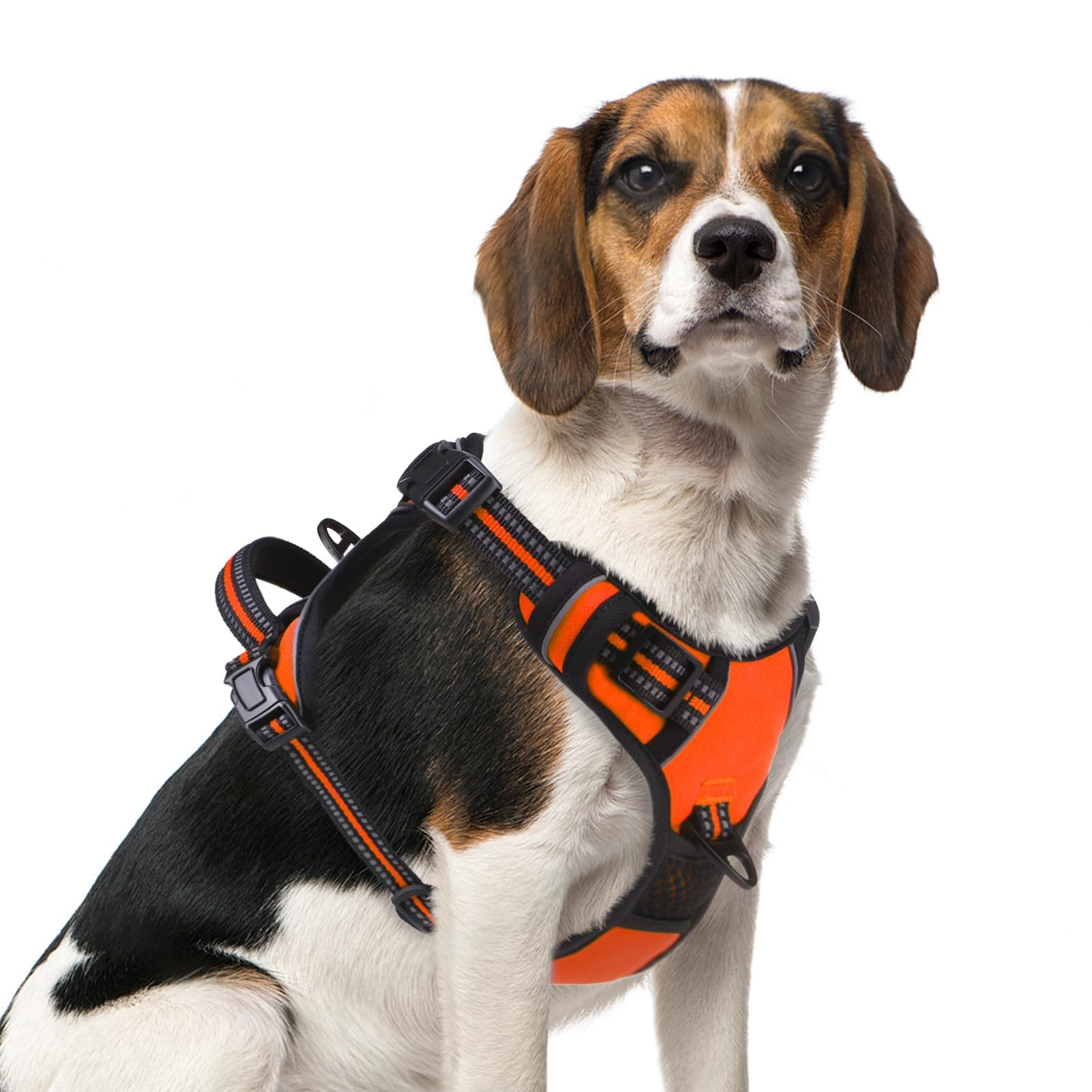 Amazon.com : PUPTECK No Pull Dog Harness Medium Sized, Adjustable ...