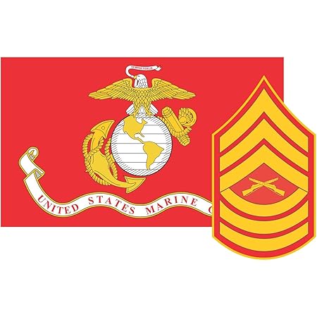 Amazon.com: Marine Corps E-8 Master Sergeant Decals Stickers : Automotive