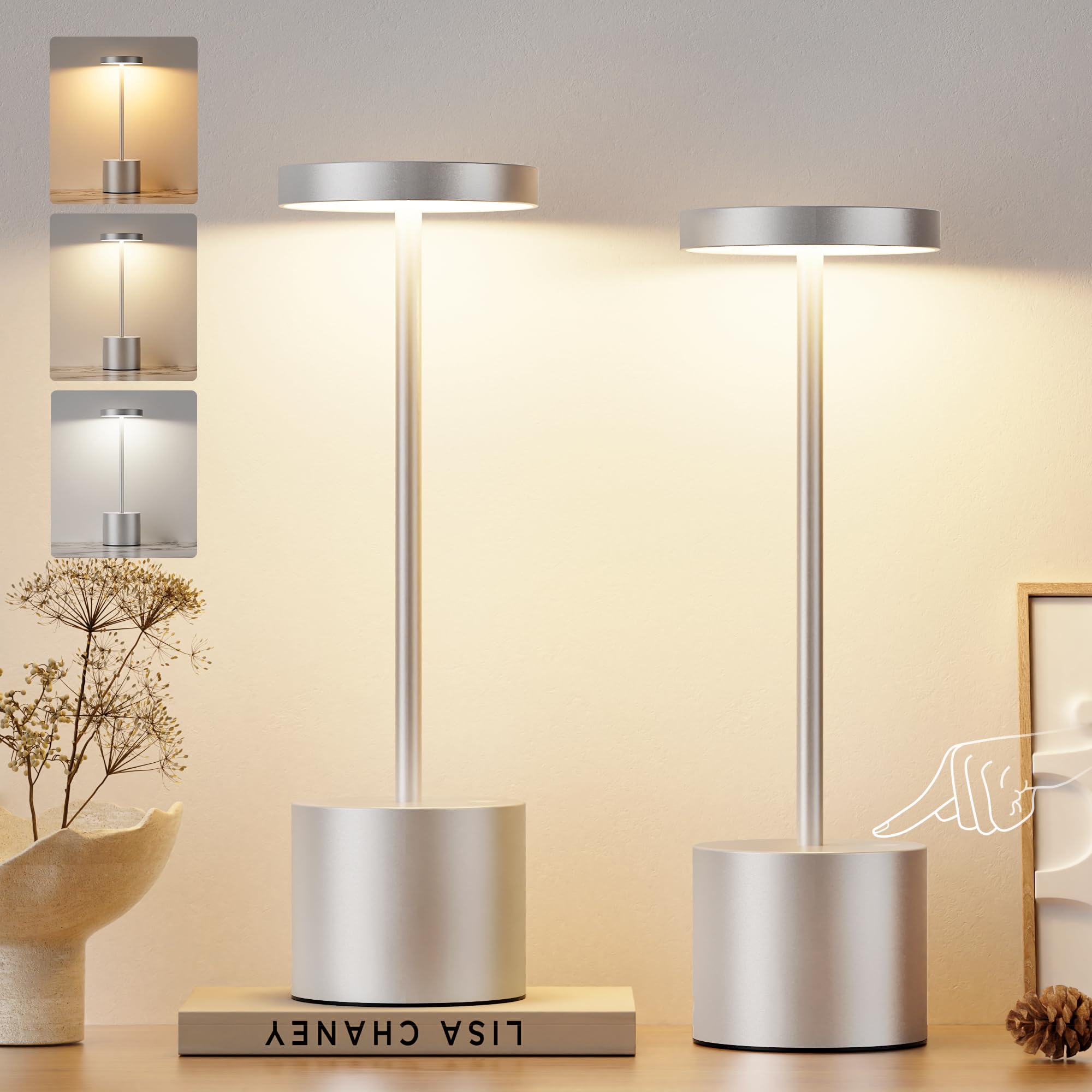 Kakanuo Silver Gray Cordless Lamp, Rechargeable Lamp, Touch Control, 3 ...