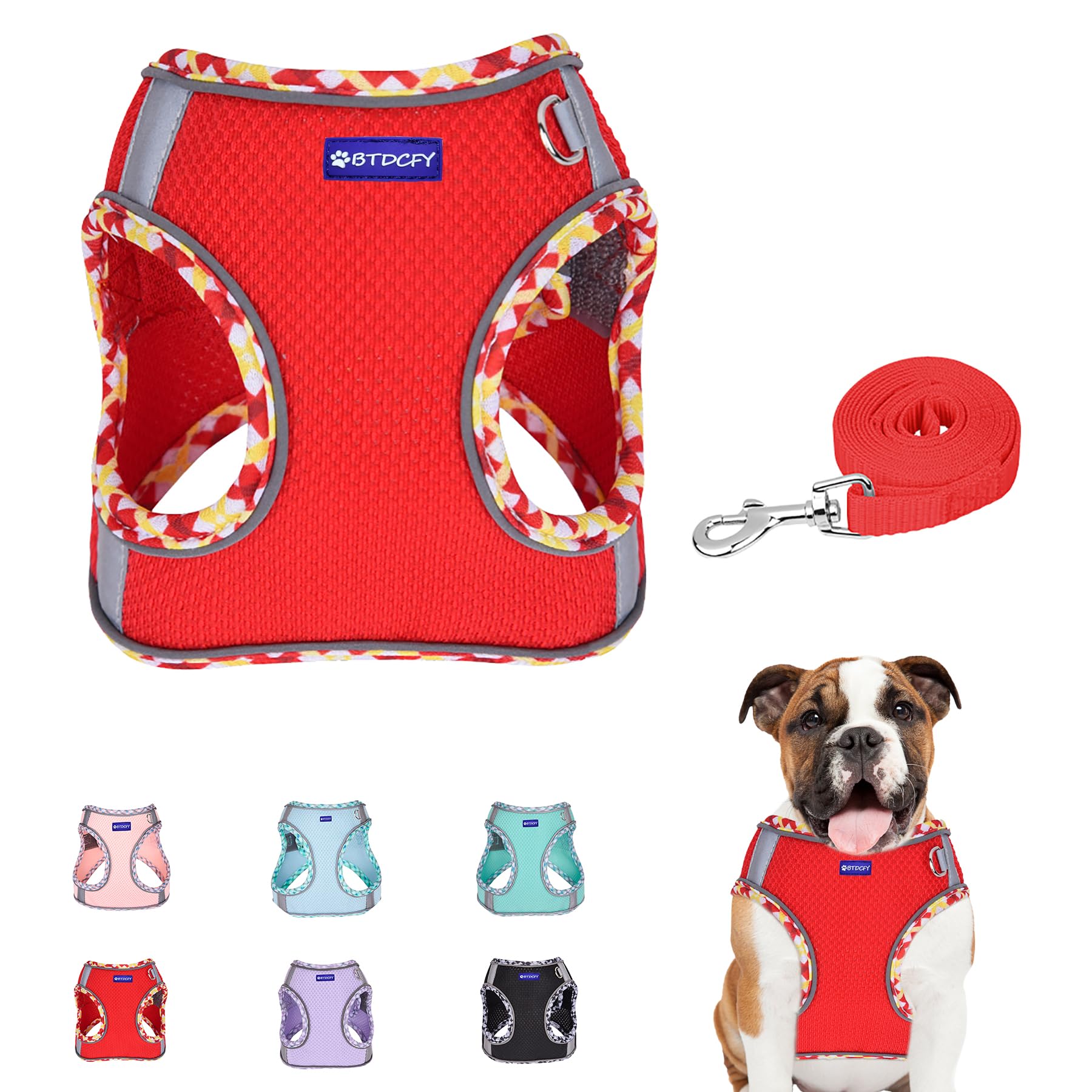 Amazon.com : BTDCFY Step in Mesh Dog Harness and Leash Set Breathable ...