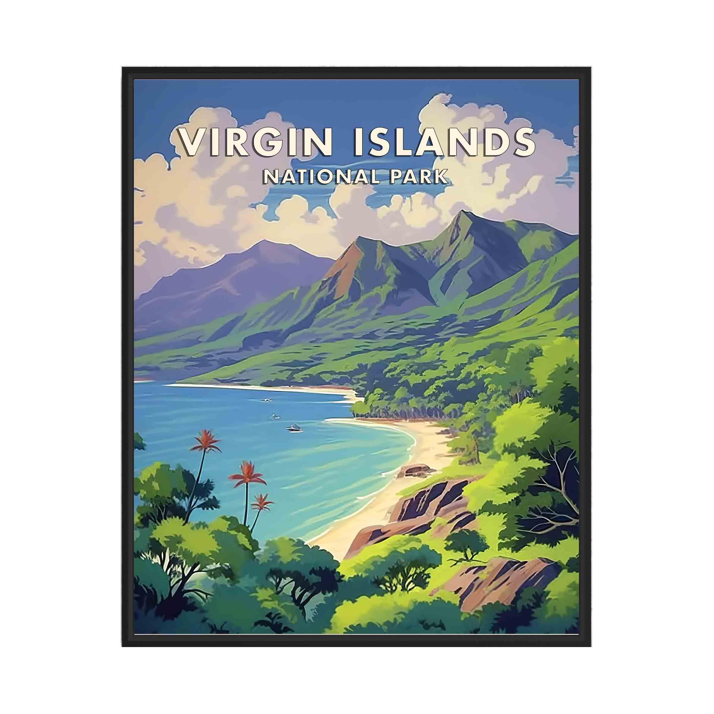 Amazon.com: Virgin Islands National Park Poster Art Print Retro ...