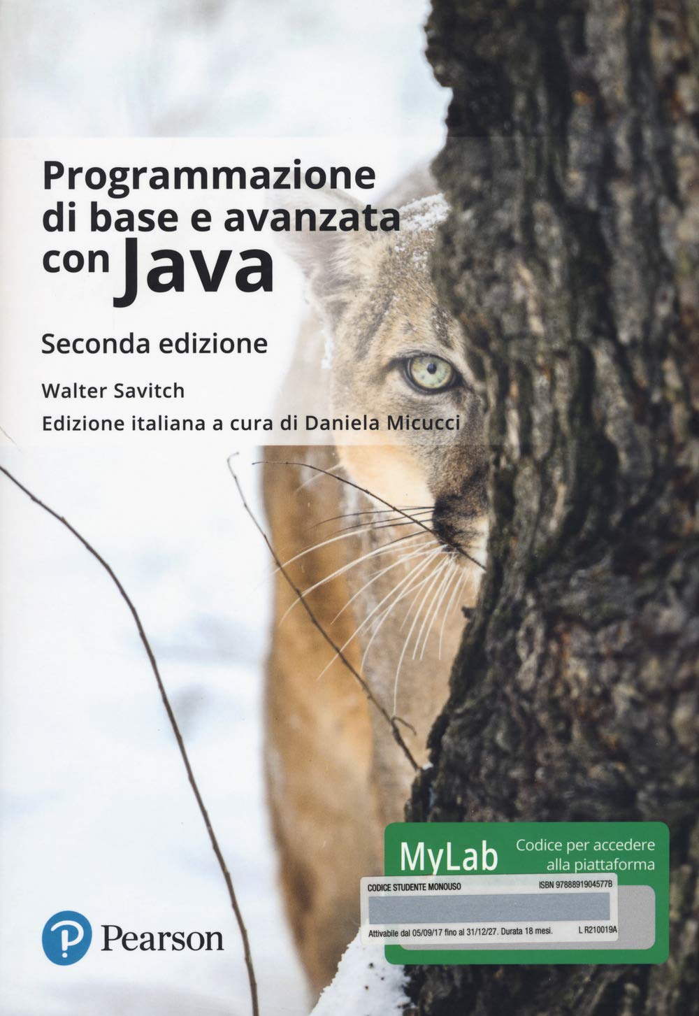 Amazon.fr - Programmazione di base e avanzata con Java. Ediz. Mylab ...