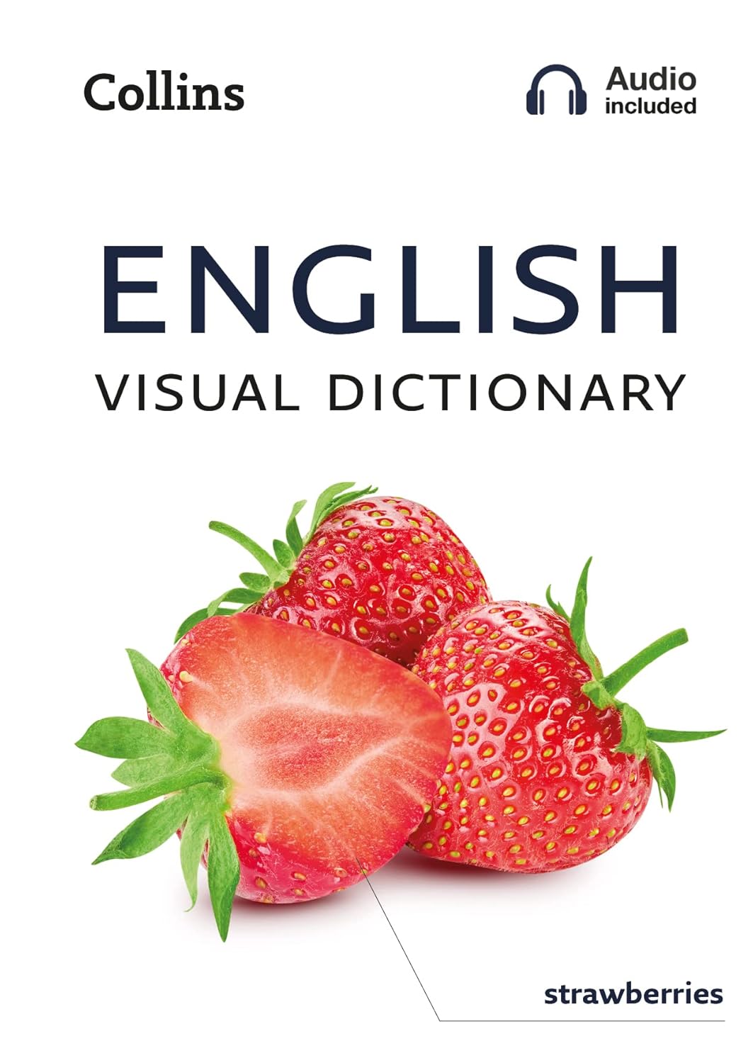 English Visual Dictionary: A photo guide to everyday words and phrases ...