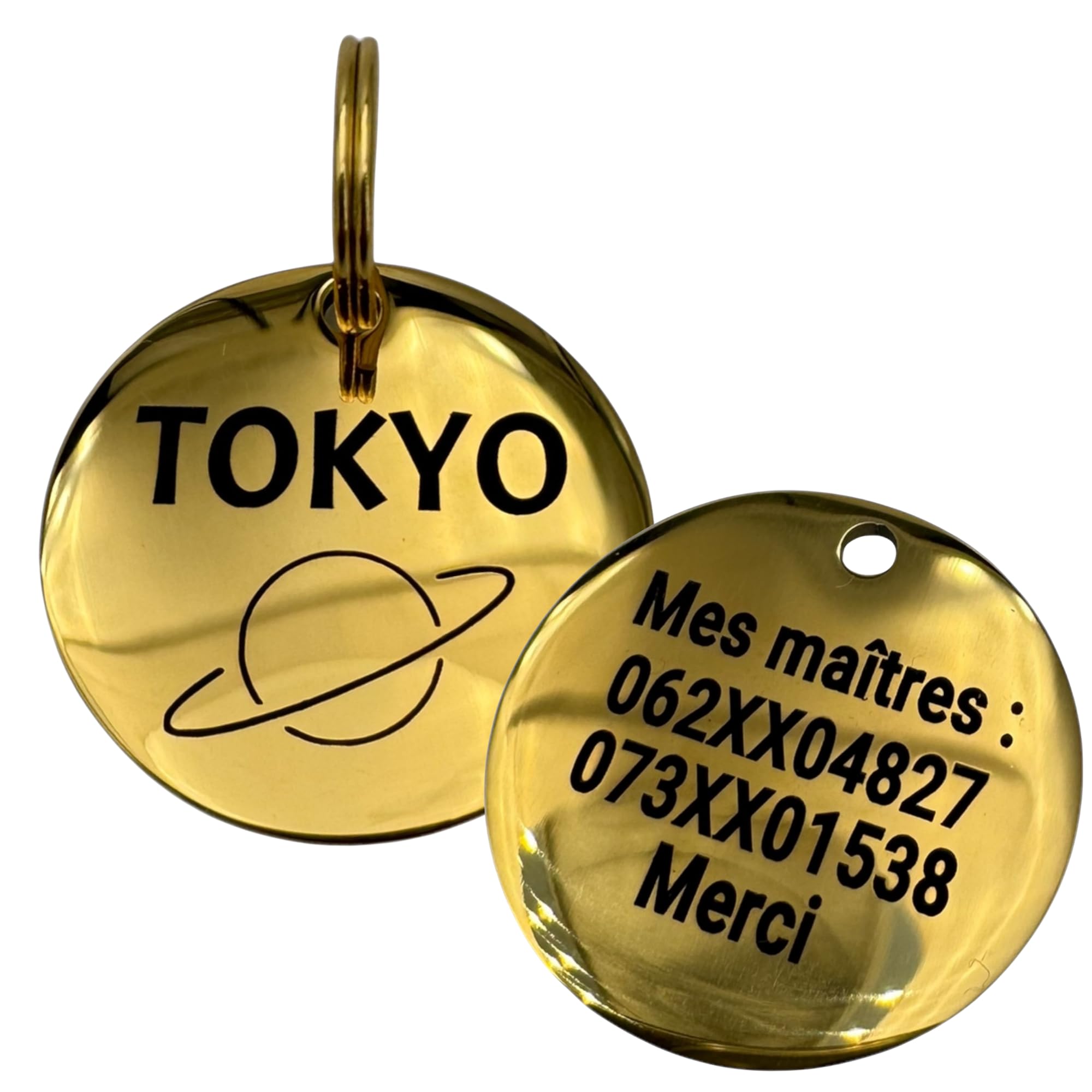 UNIKTAG Médaille personnalisable pour chiens et chats, médaillon en ...