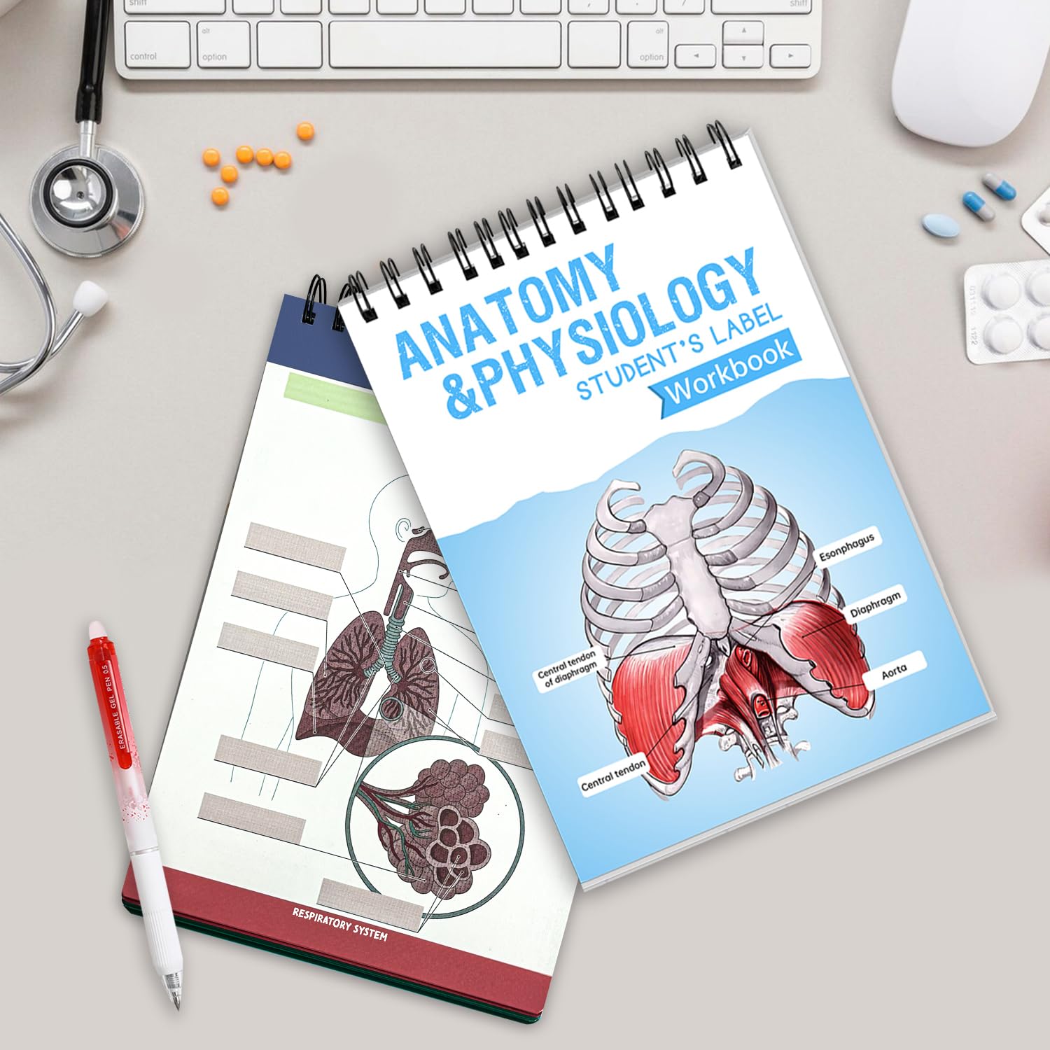 Medical Study Guide Anatomy Labeling Workbook - 100+ Full Color ...