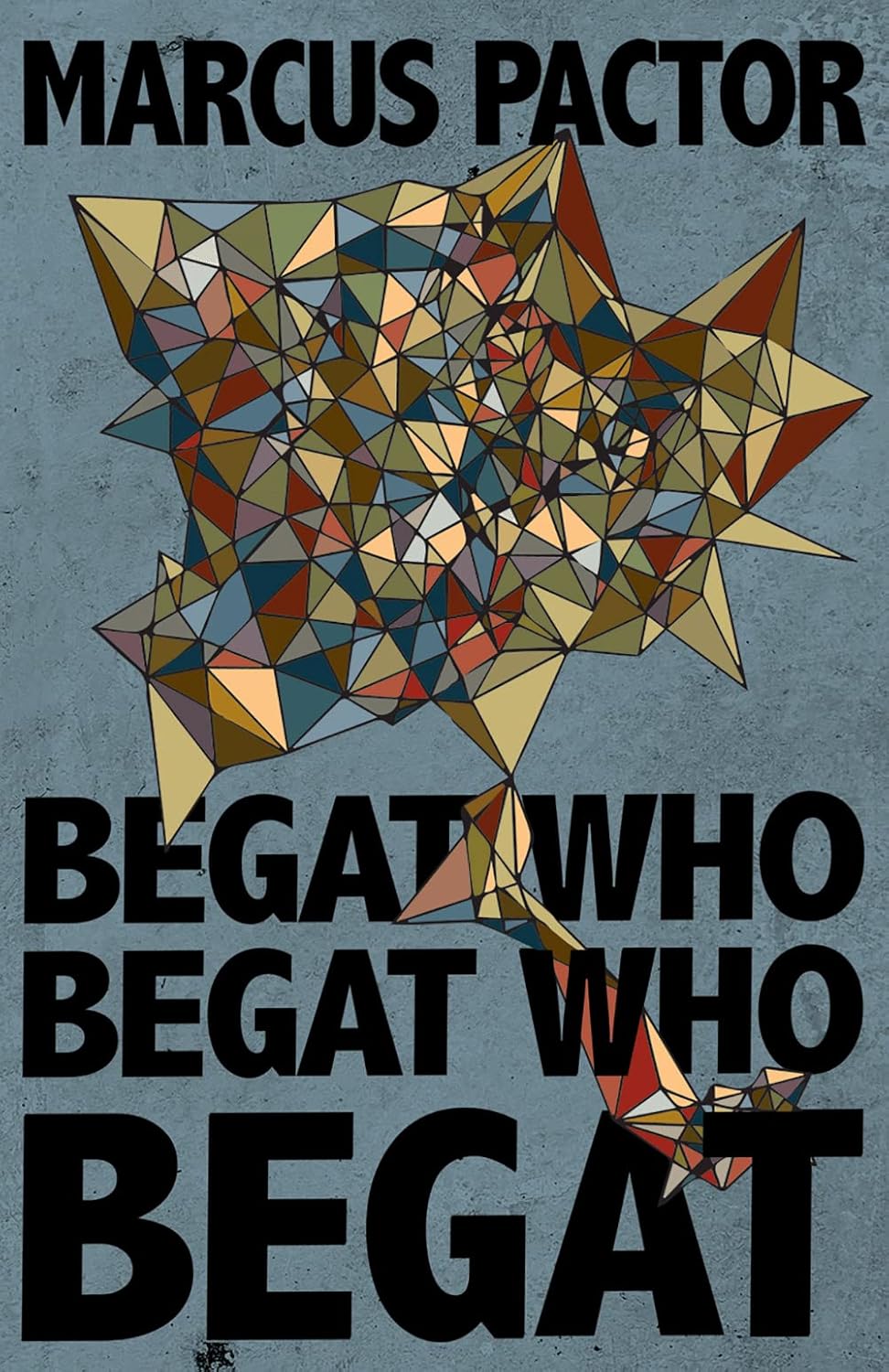 Begat Who Begat Who Begat: Pactor, Marcus: 9780998019963: Amazon.com: Books