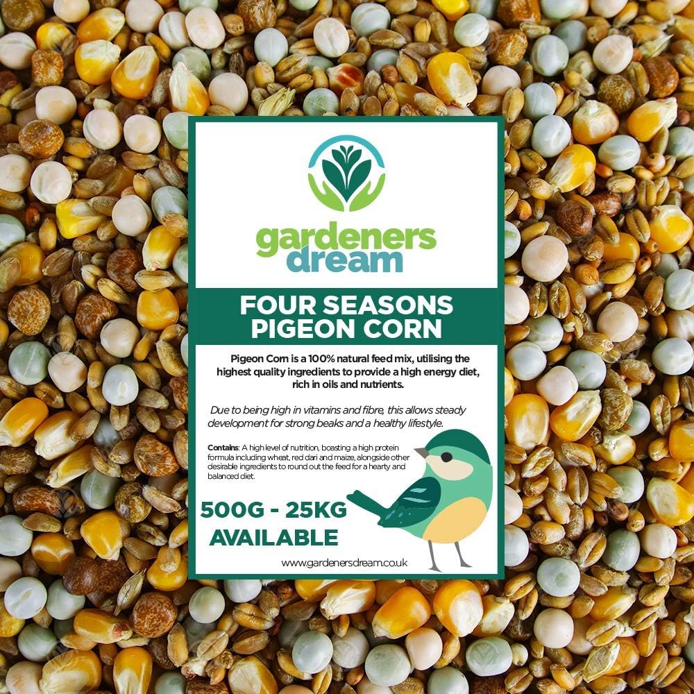 Countrywide High Protein Low Cost Pigeon Food 20kg - Quality Dust-Free ...