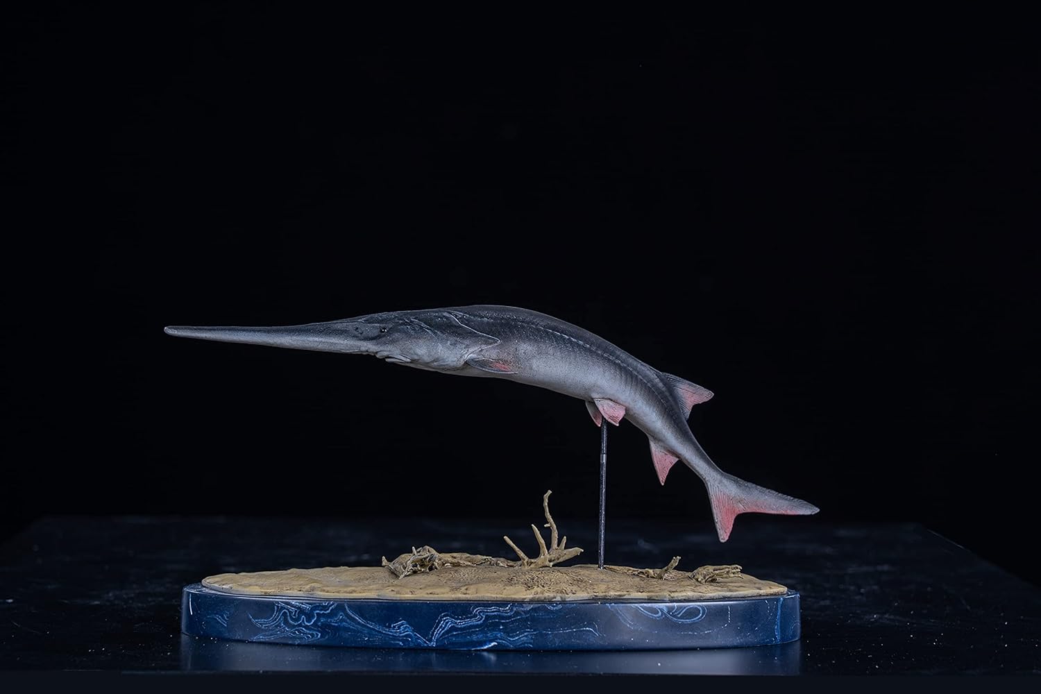 Amazon | Memory Museum 1/15 サイズ ハシナガチョウザメ Psephurus gladius 魚類 動物 リアル ...