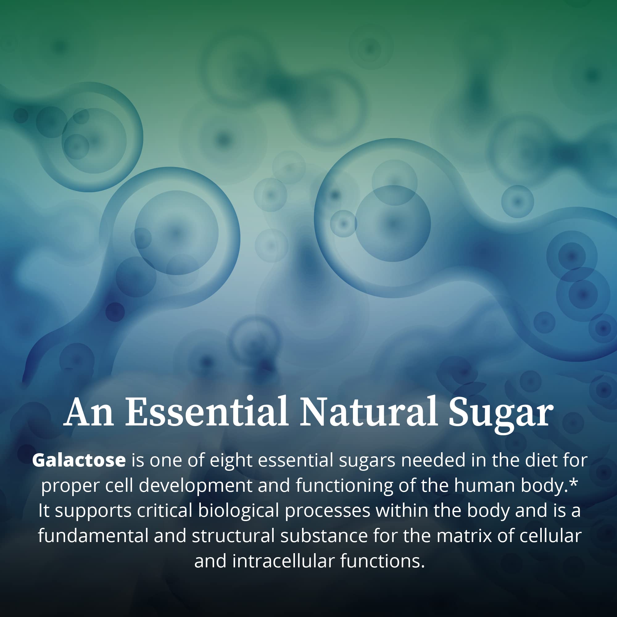 BioPure Galactose – Essential Natural Sugar Monosaccharide Dietary ...