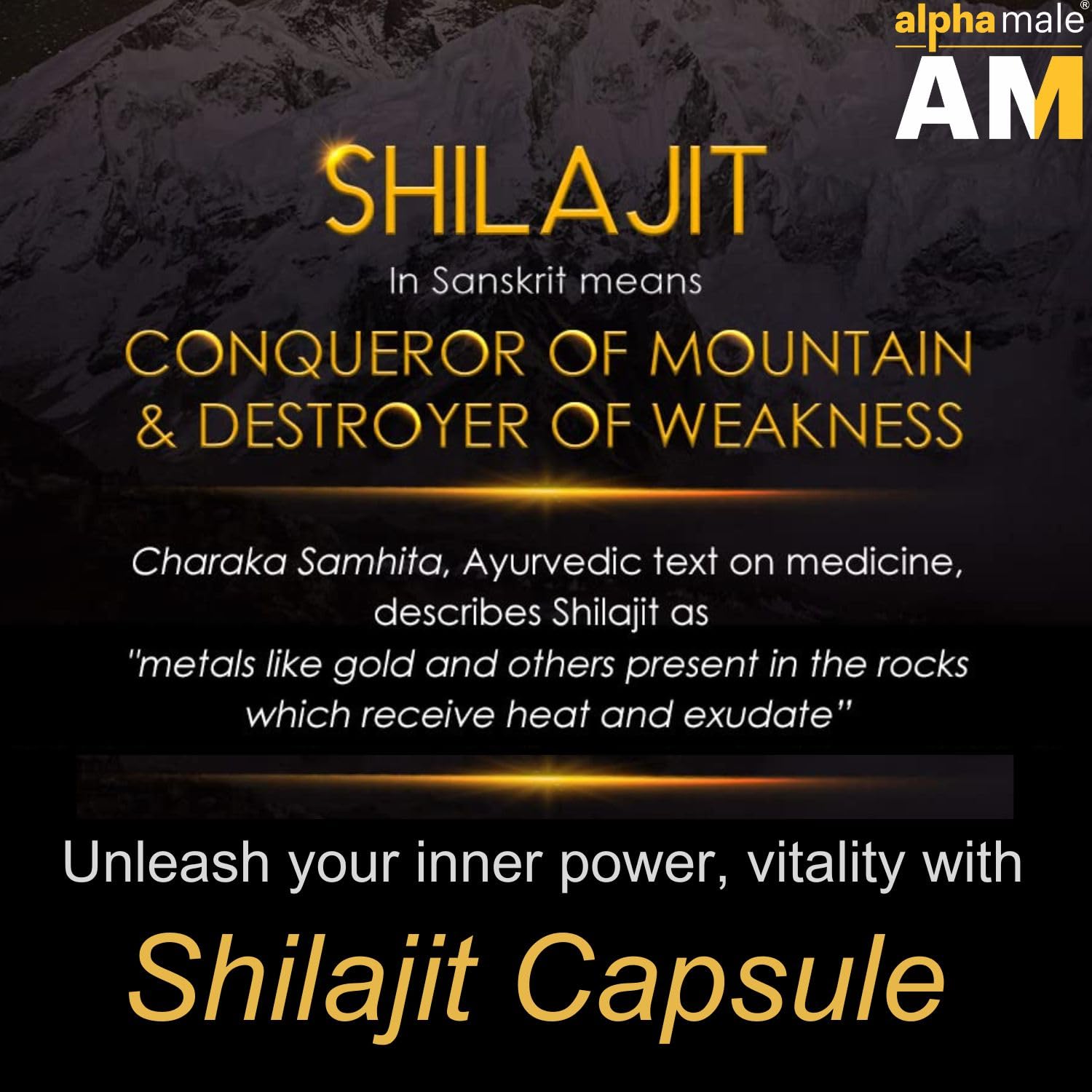 Alpha Male Ayurvedic Shilajit, Shilajeet Capsule for Men | Himalayan ...