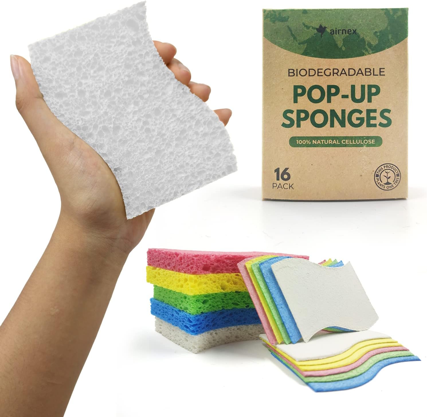 Amazon.com: AIRNEX Biodegradable Cellulose Compressed Sponges - Pack of ...
