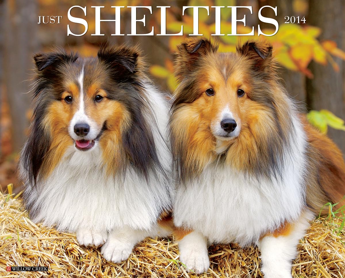 Just Shelties 2014 Wall Calendar: Willow Creek Press: 9781607559344 ...