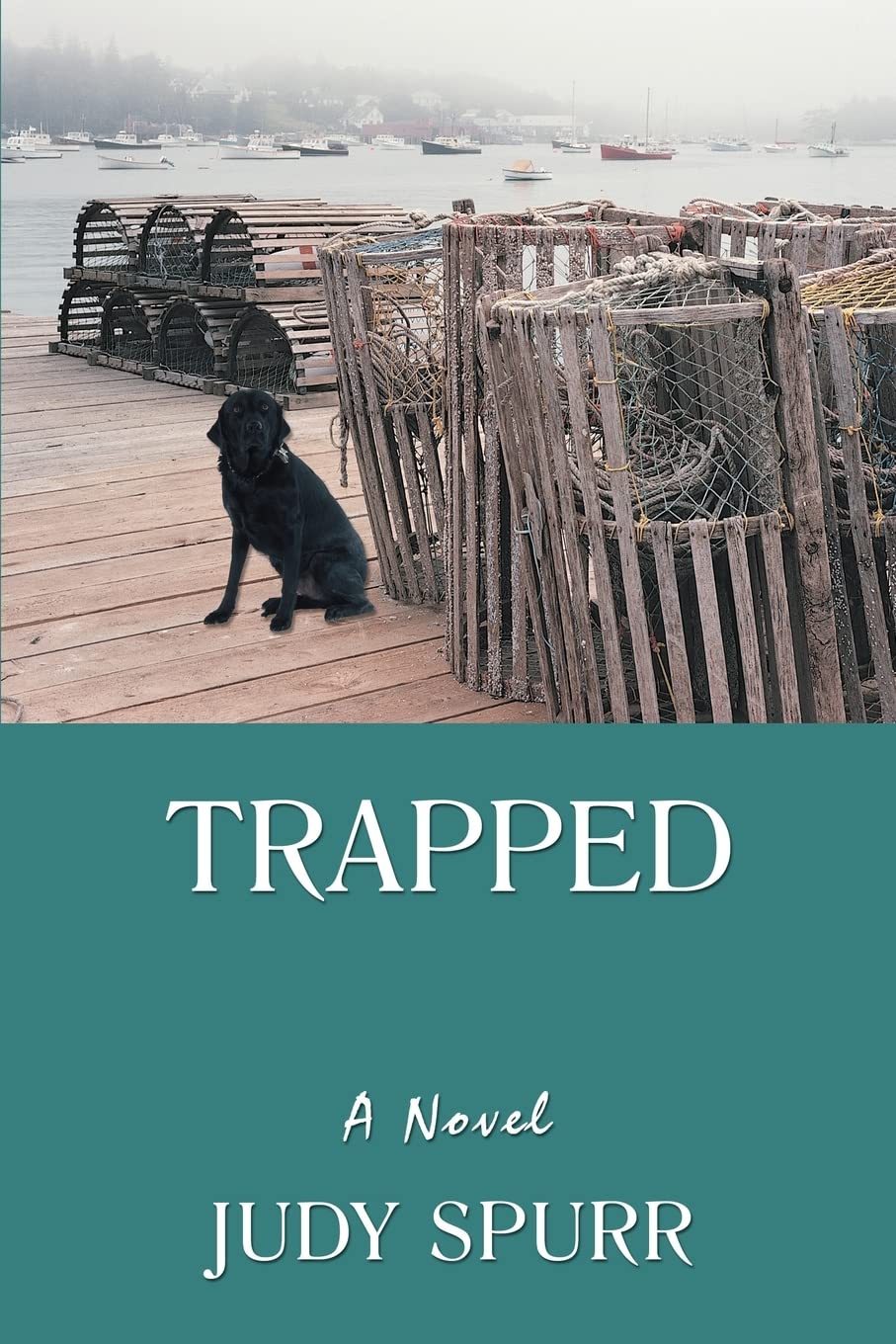 Amazon.com: Trapped: 9780595439157: Spurr, Judy: Books