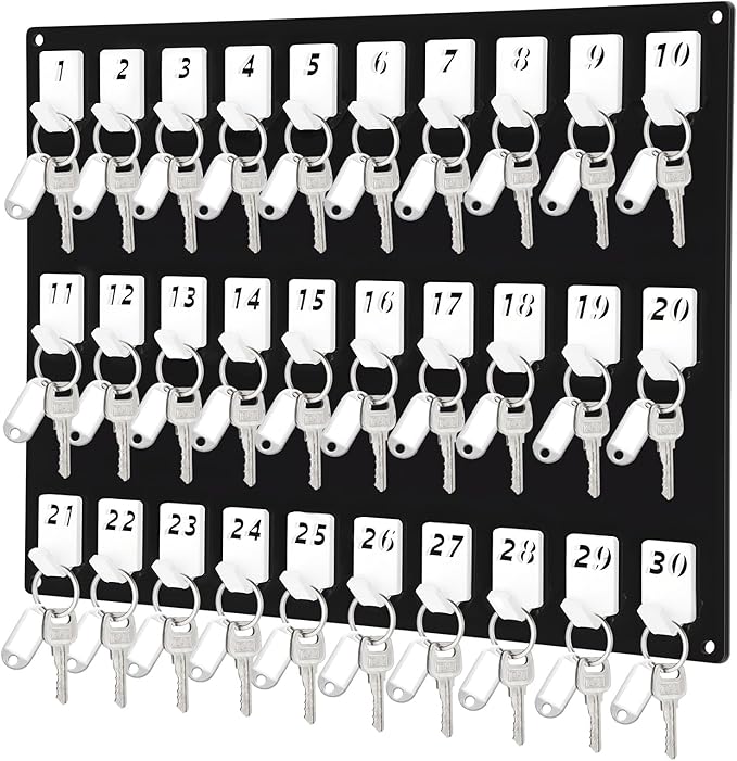 Amazon.com: Beeveer Acrylic Key Board with 30 No. Hooks Wall Mount Key ...