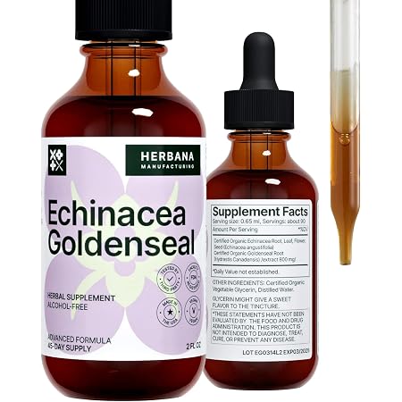 Amazon.com: Echinacea and Goldenseal 2 fl oz Liquid Extract - Natural ...