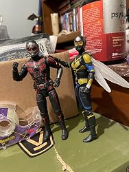Amazon.com: Marvel Legends Series Ant-Man,Ant-Man & The Wasp ...