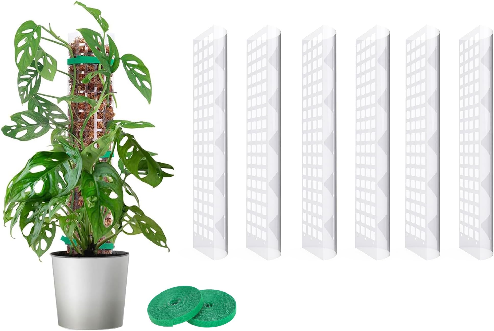 Rankhilfe Monstera,4 Stück 24 Zoll Moosstab für Monstera Kunststoff ...