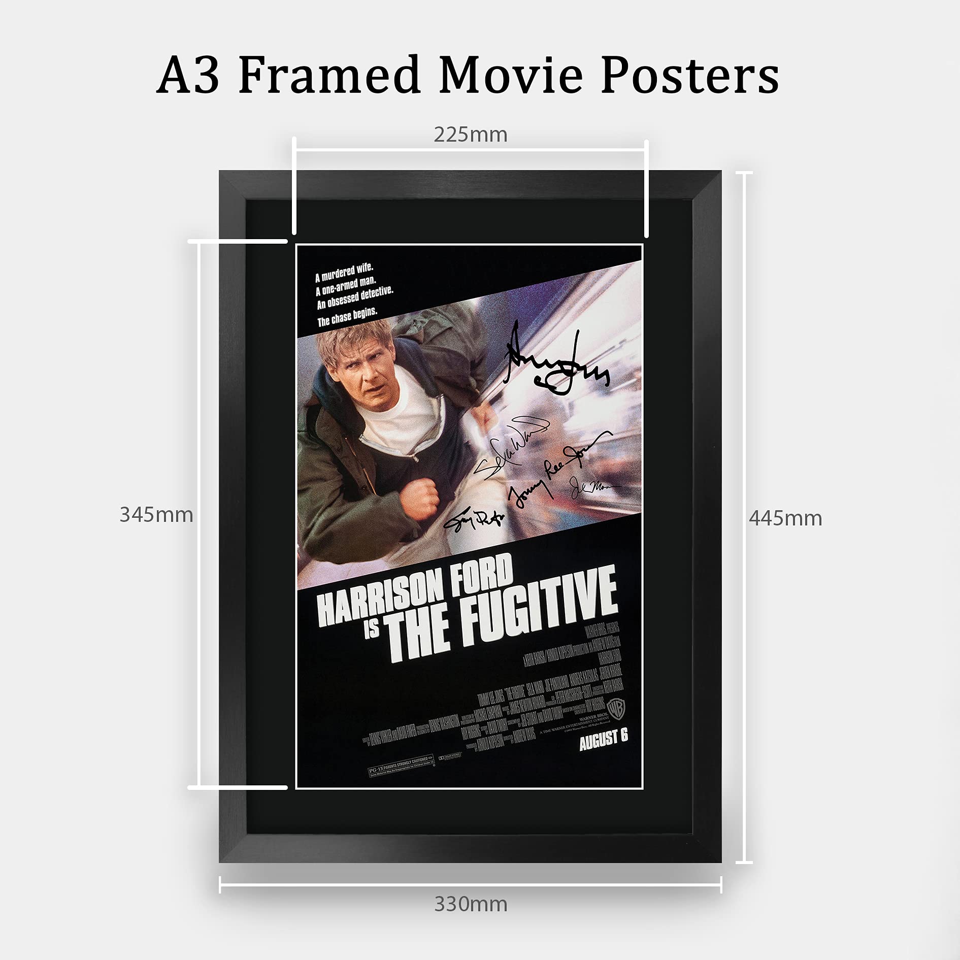 The Fugitive Poster