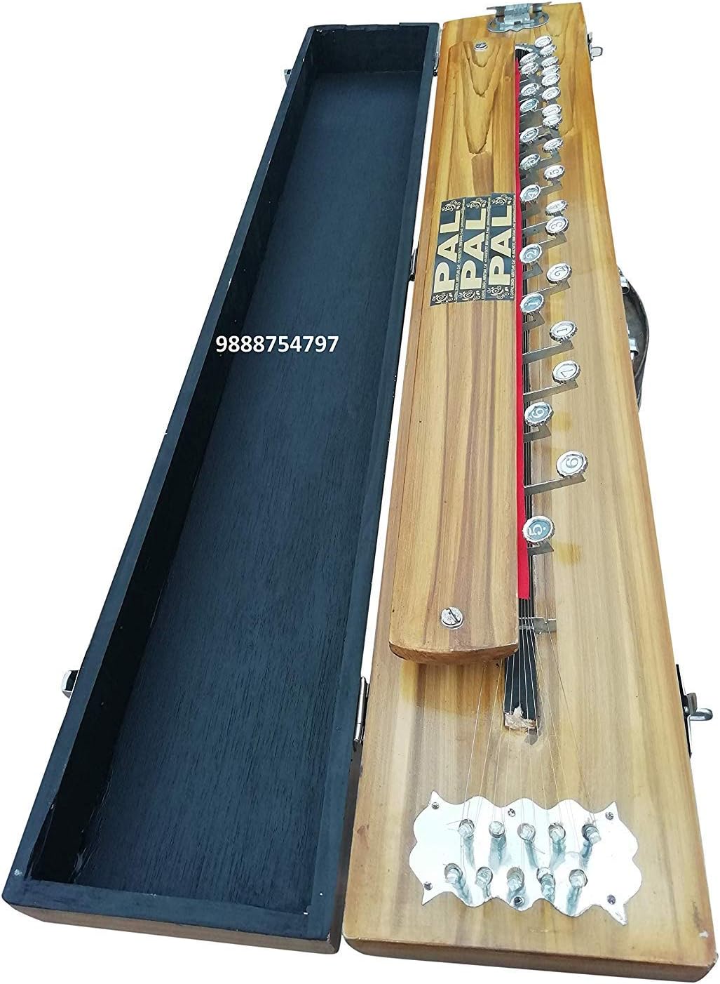 PAL Music House® Bulbul Tarang (Indian Banjo), 91 cm : Amazon.de ...