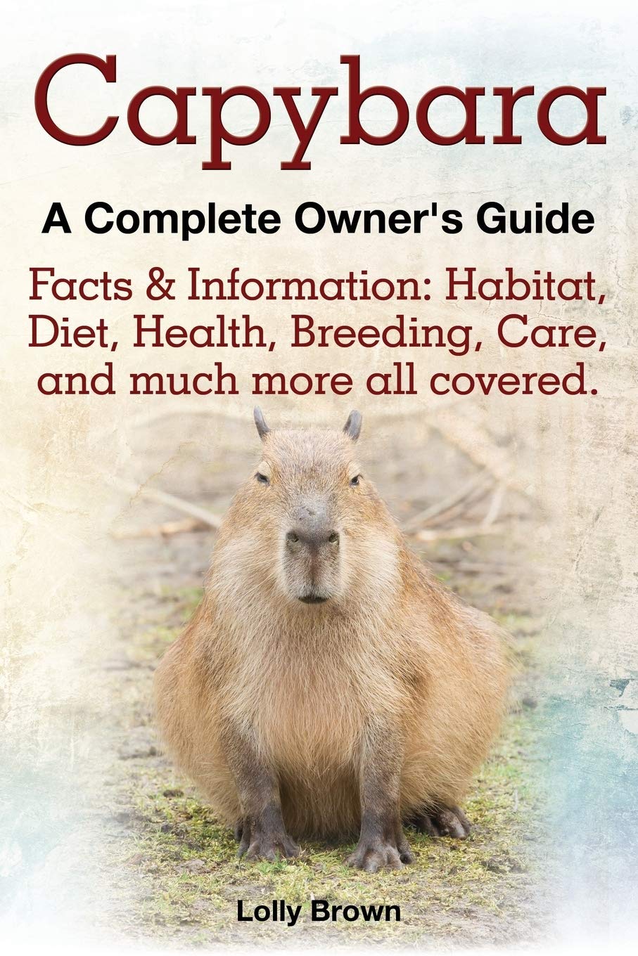 Capybara. Facts & Information: Habitat, Diet, Health, Breeding, Care ...