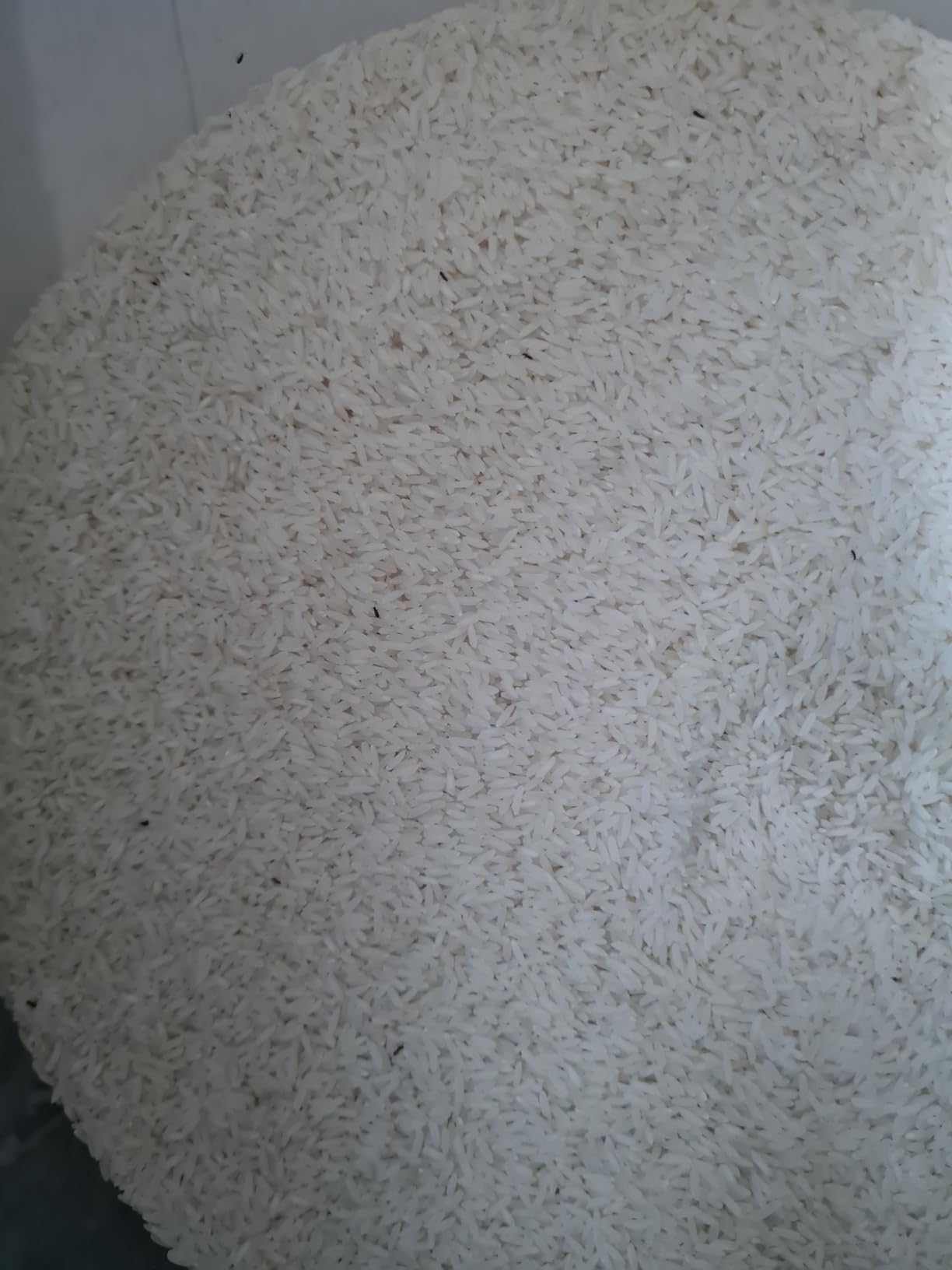 Daawat Kolam Rice, 10 Kg : Amazon.in: Grocery & Gourmet Foods